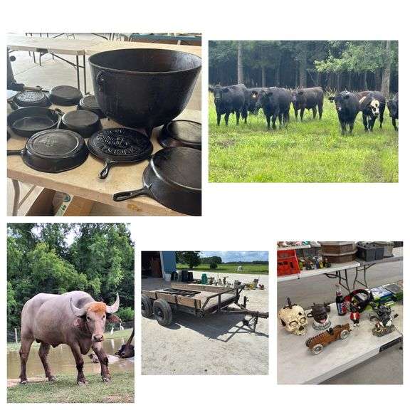 BIG AUCTION….Don't miss out!! - Auctionology LLC